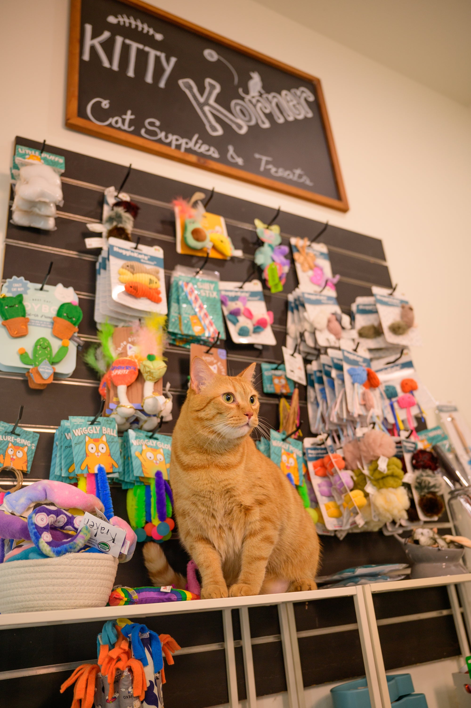 Aloha Paws Online Store